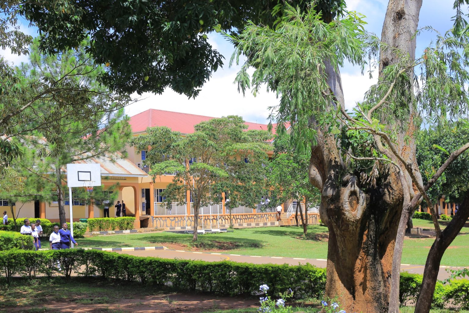About us – Kakoola High School